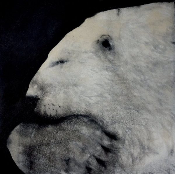 Portfolio – Heidi Wickham