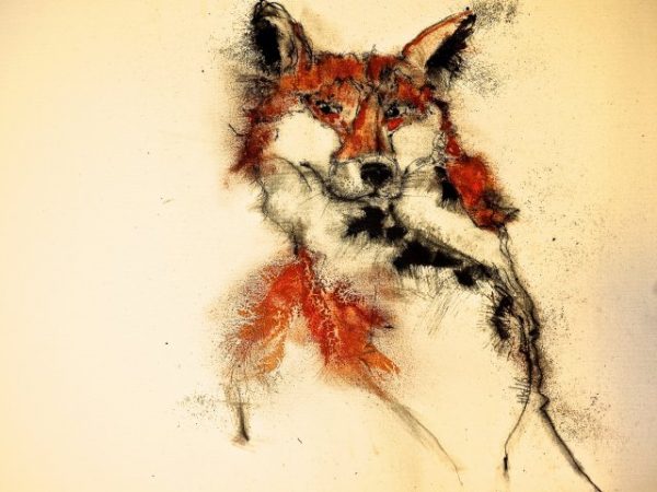 Portfolio – Heidi Wickham