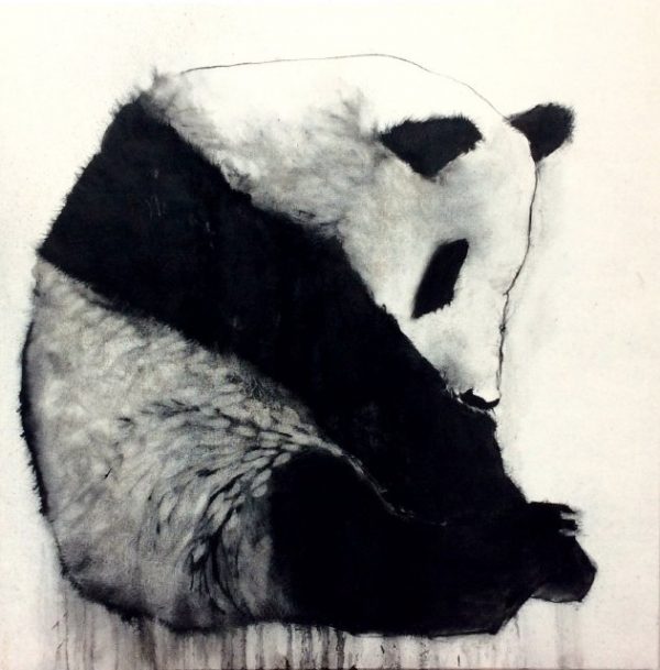 Portfolio – Heidi Wickham