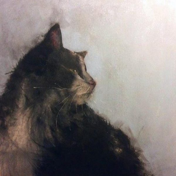 Portfolio – Heidi Wickham